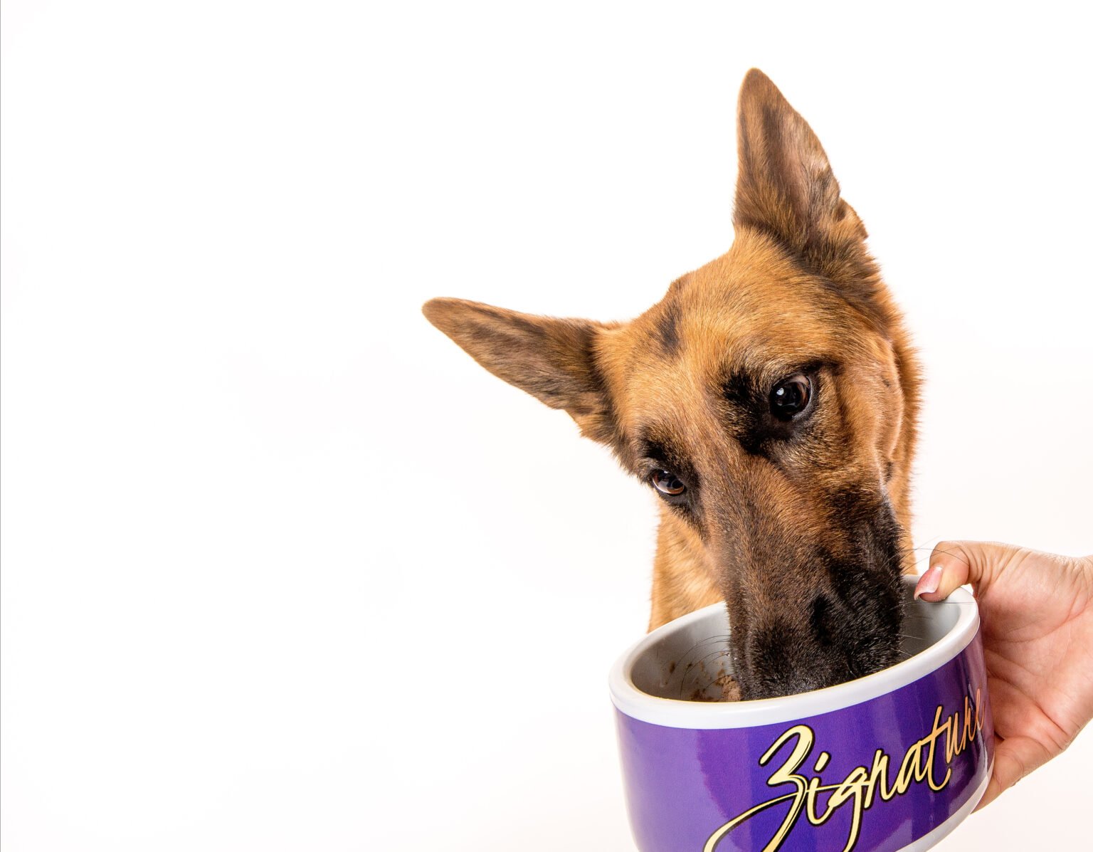 Zignature Original Kangaroo Formula with Probiotics - Zignature